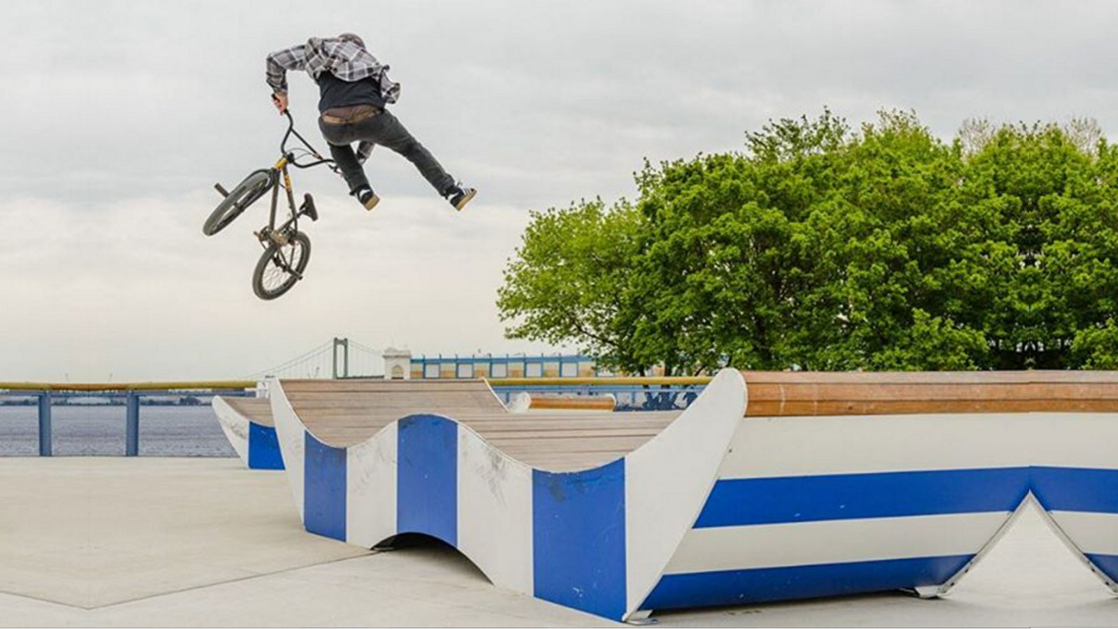 Van Homan - Fitbikeco.